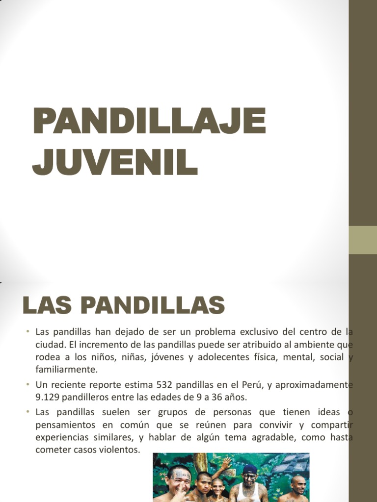Causas y Consecuencias del Pandillaje Juvenil | PDF | Violencia ...