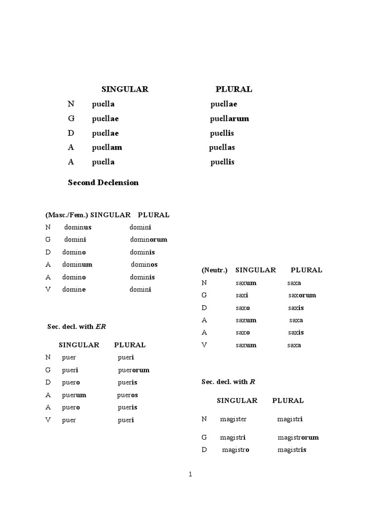 Latin Noun Declensions Guide | PDF | Language Arts & Discipline ...