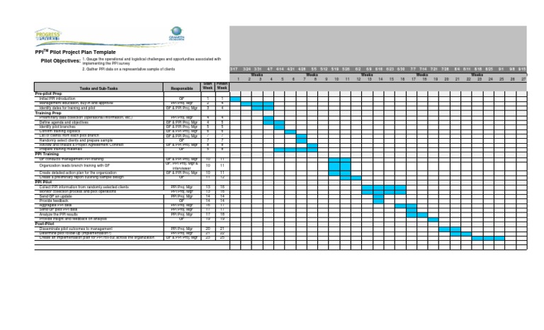 PPI Pilot Project Plan Template Pilot Objectives:: Weeks Weeks Weeks ...