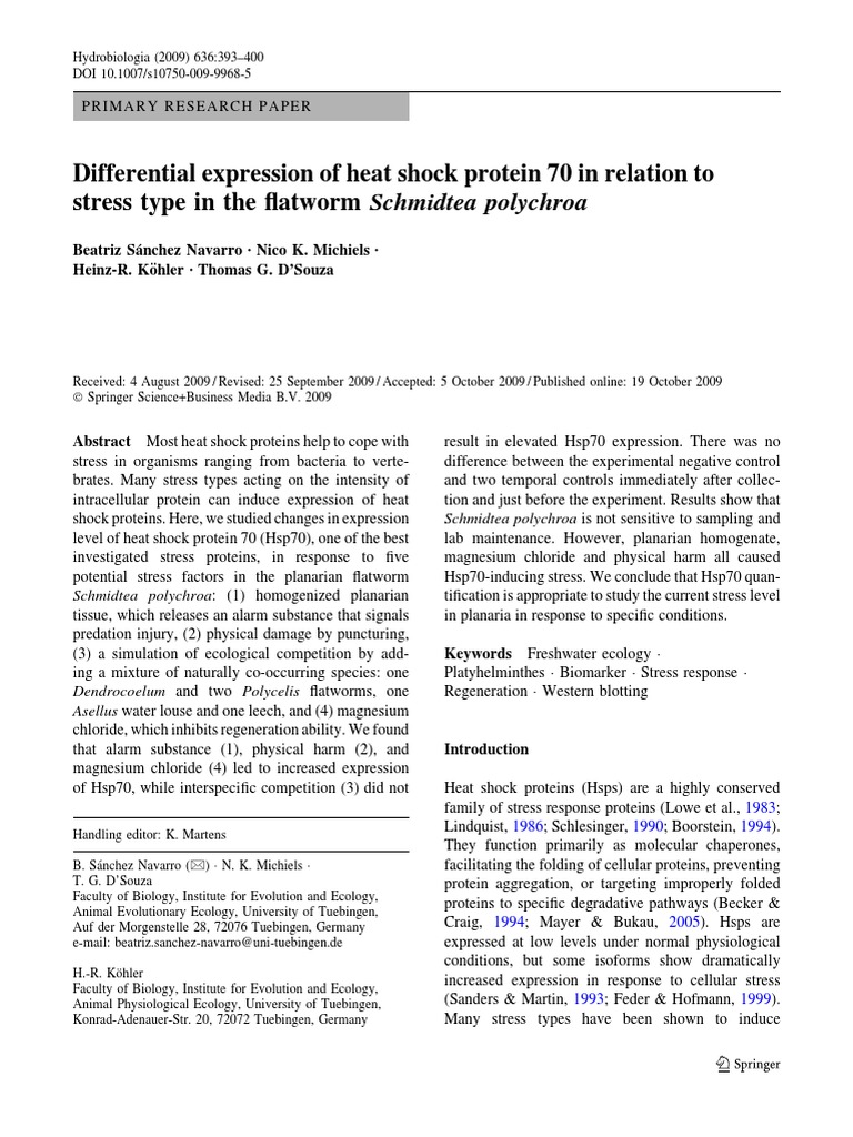 Hsp70 Expression in Schmidtea polychroa Stress | PDF | Analysis Of ...