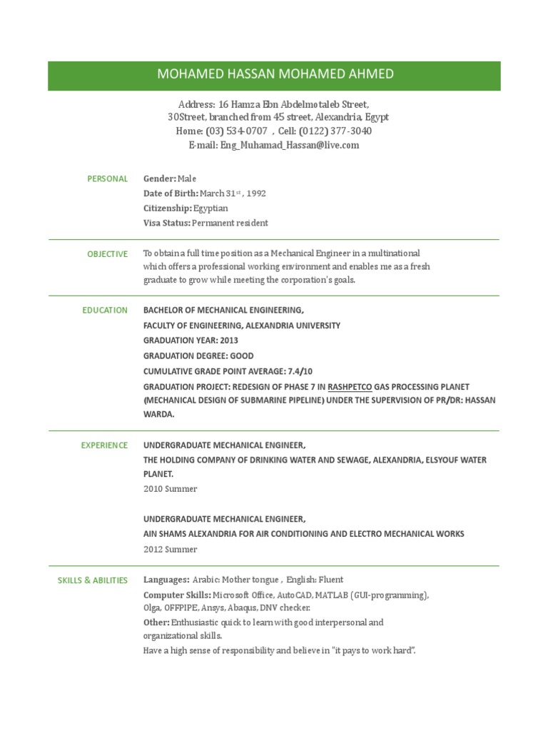 Mohamed Hassan Mohamed Ahmed (CV) | PDF