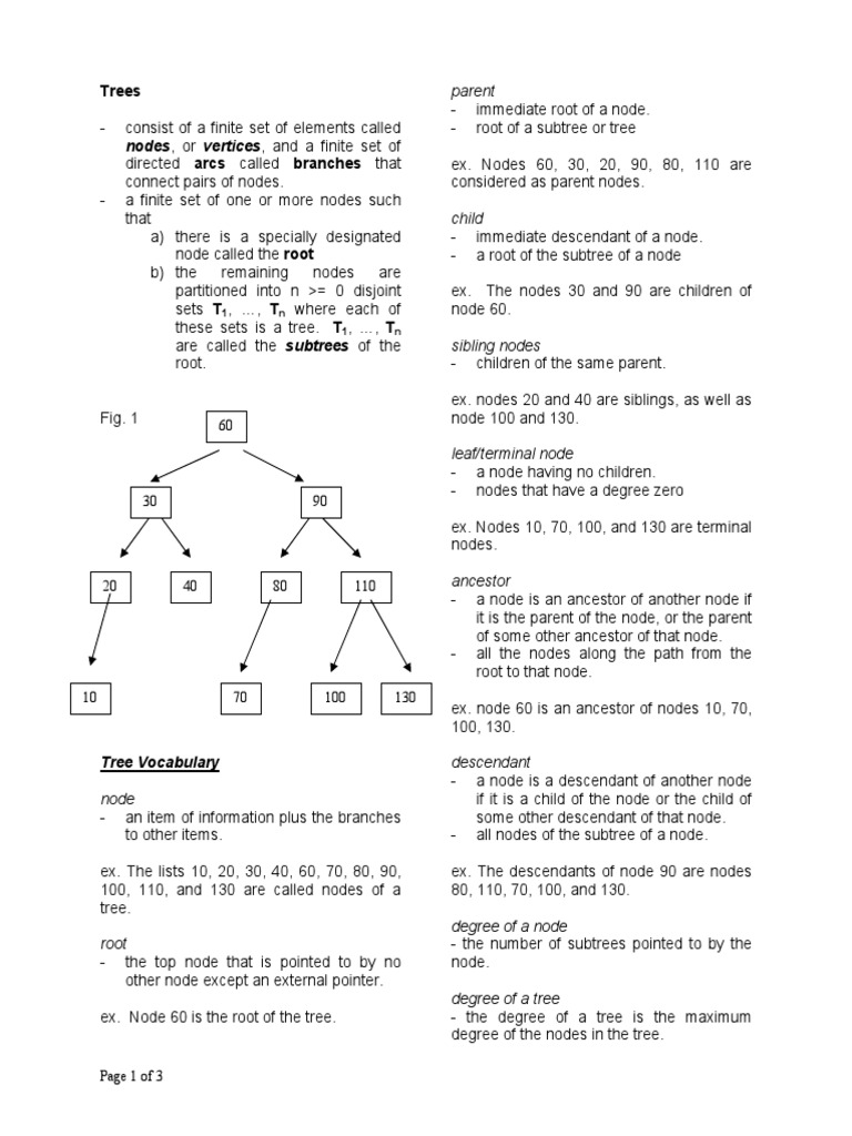 Trees (Data Structure) | Download Free PDF | Algorithms And Data ...