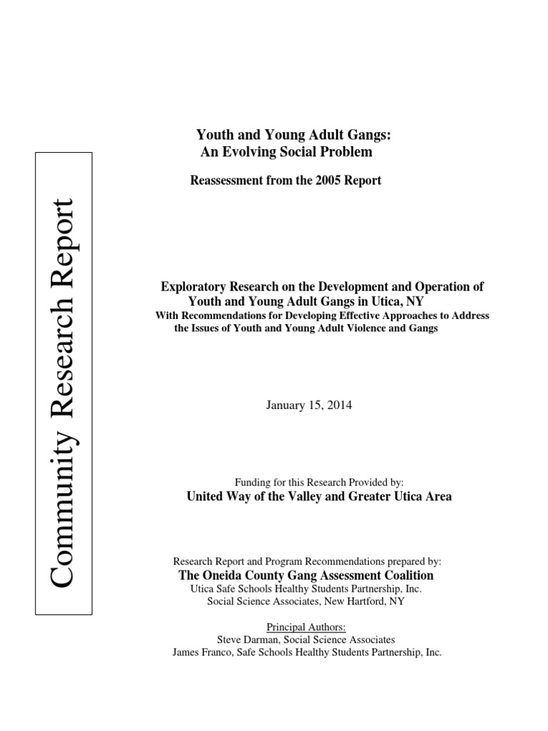 Youth Gangs in Utica, NY: 2014 Report | PDF | Gang | Assault