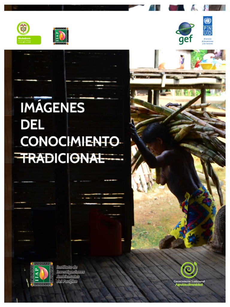 Imágenes Del Conocimiento Tradicional | PDF