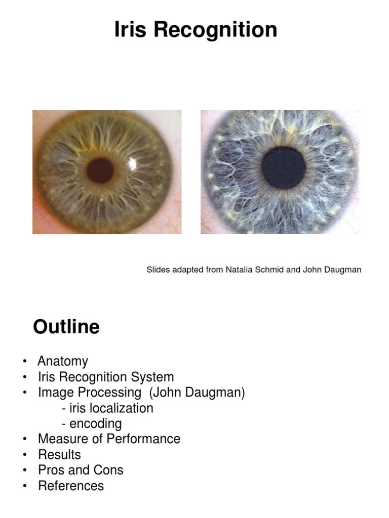 Iris Recognition Slides Adapted From Natalia Schmid And John Daugman