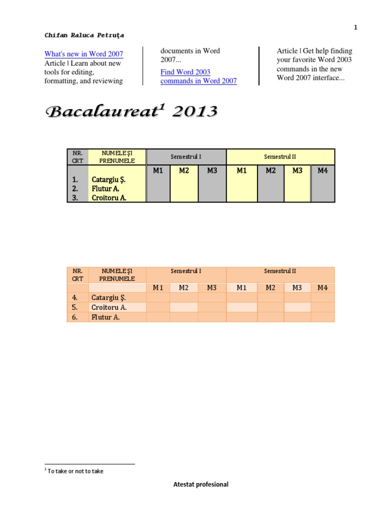 Rezolvare Fisa Nr10 TIC | PDF | Technology & Engineering