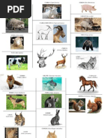 Animales Dosmesticos en Xinca | PDF | Cocina, comidas y vino