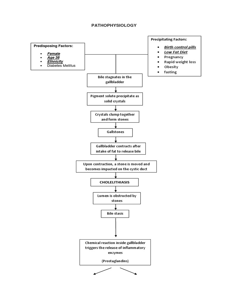 105375378-Pathophysiology-Cholelithiasis | Gallbladder | Rtt