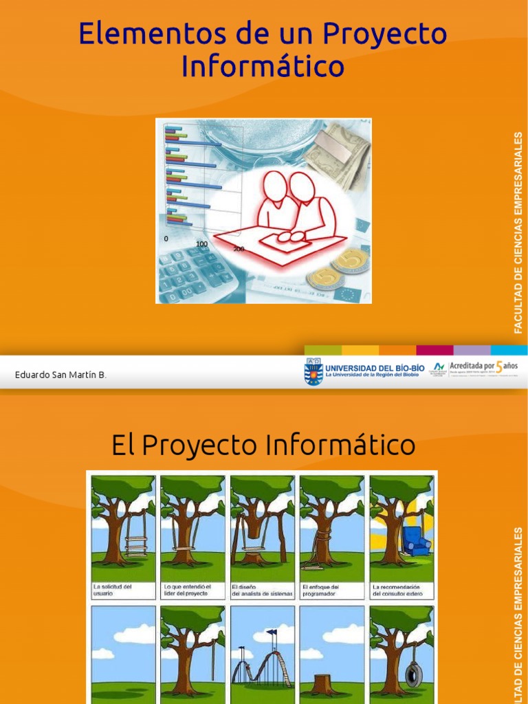 Evaluación de Proyectos Informáticos | PDF | Economias | Science