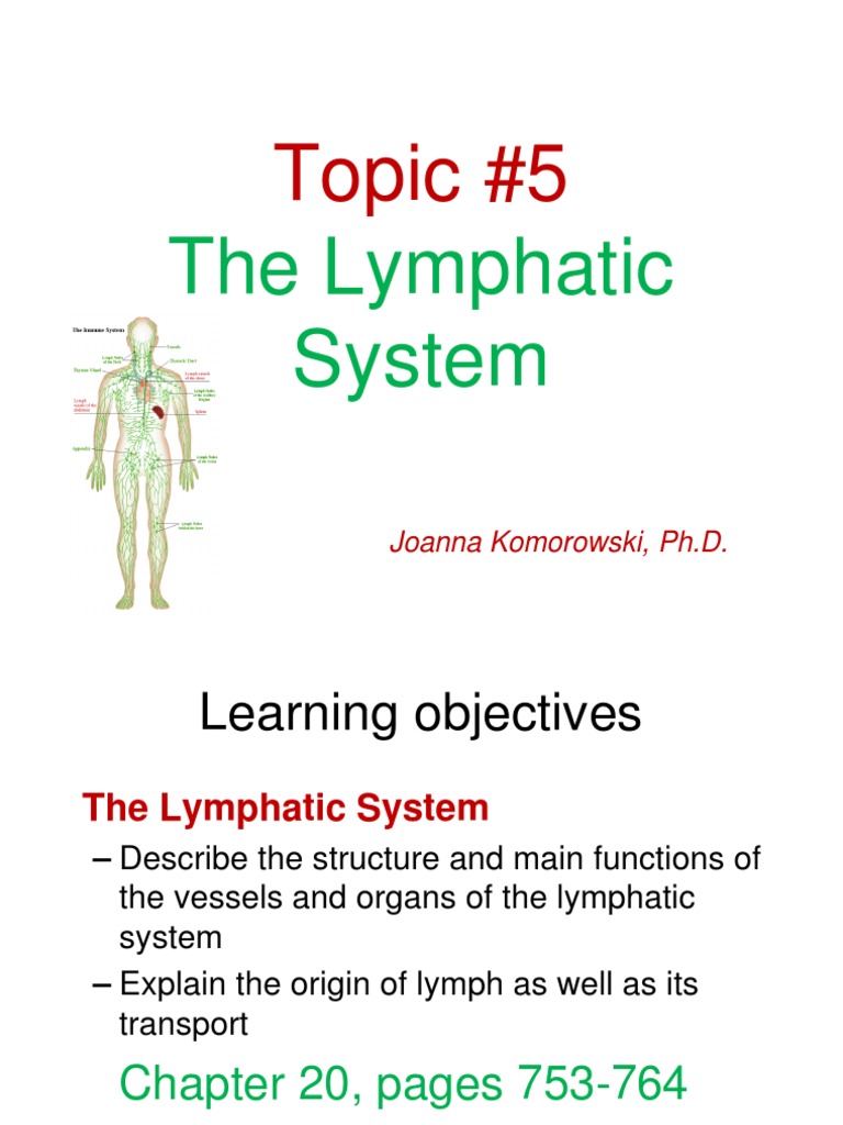 ANP 1105 The Lymphatic System | PDF | Lymphatic System | Lymph Node