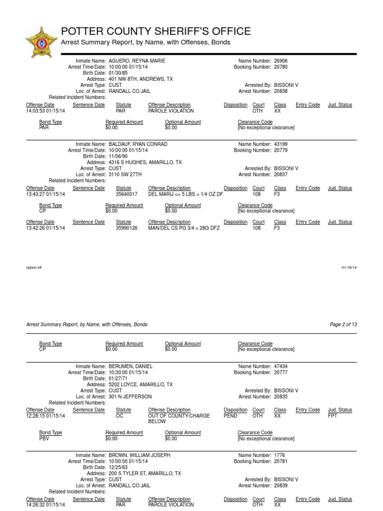 Arrest Summary Report | Arrest | Crimes