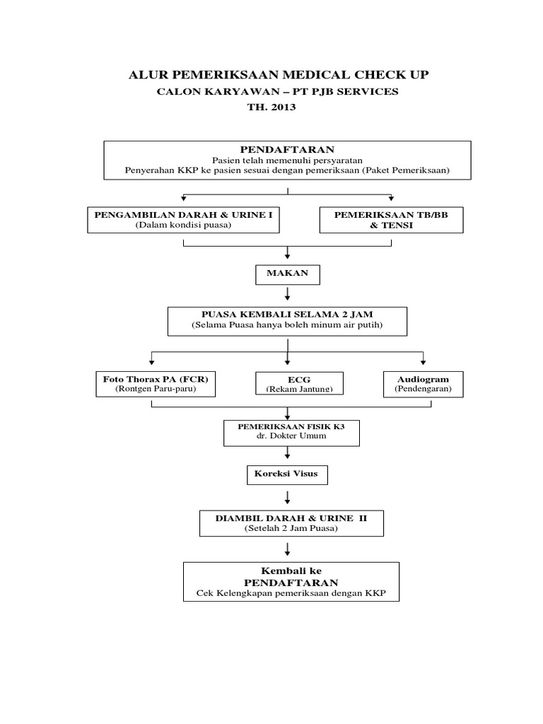 Alur Pemeriksaan | PDF