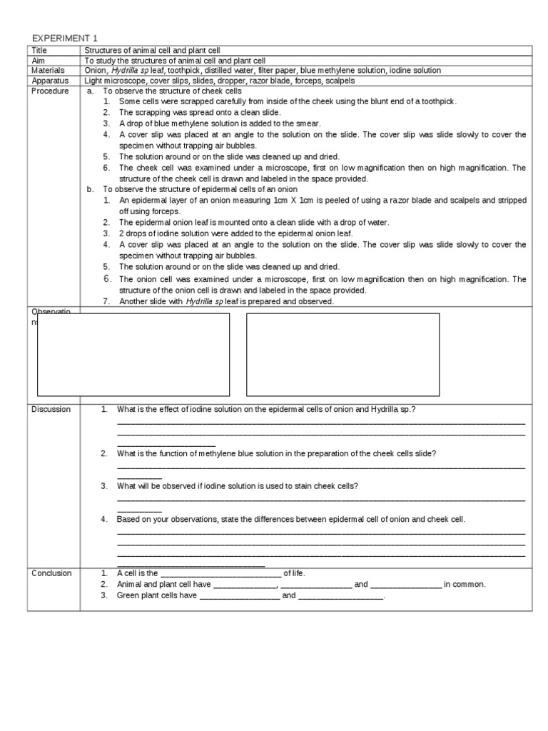 Compilation of Experiments Form 4 | PDF | Vitamin C | Chemistry