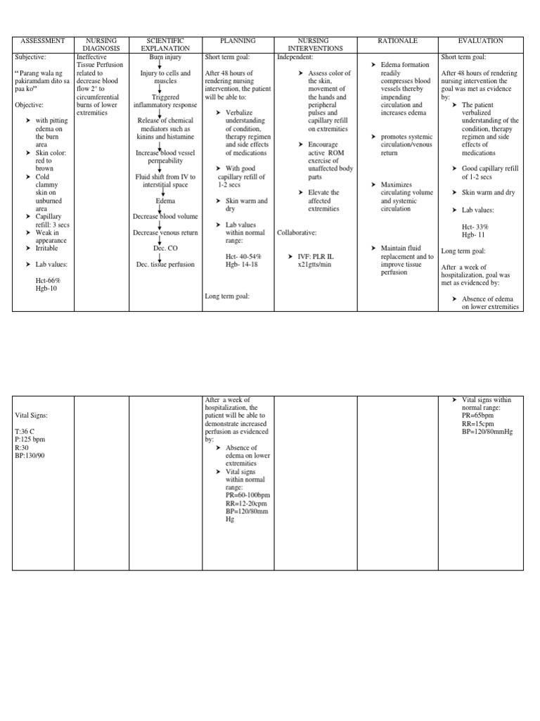 NCP Burn | PDF | Healing | Burn