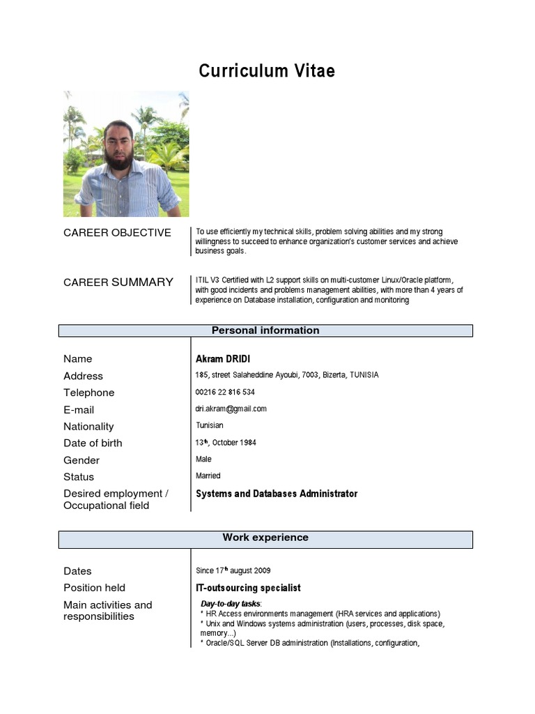 Curriculum Vitae | PDF | Oracle Database | Itil