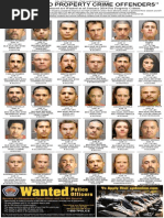 Suspect Description Form | PDF