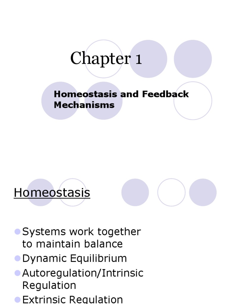 Homeostasis and Feedback Mechanisms | PDF