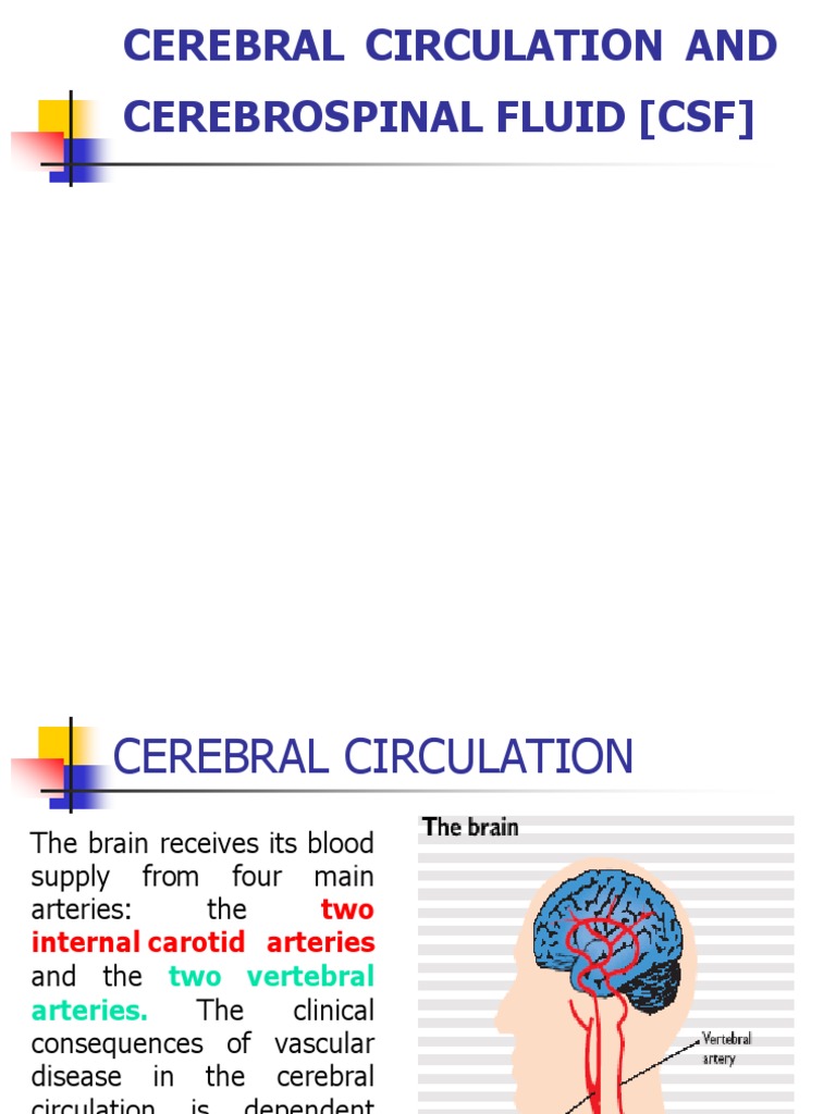 Csf | Cerebrospinal Fluid | Meningitis