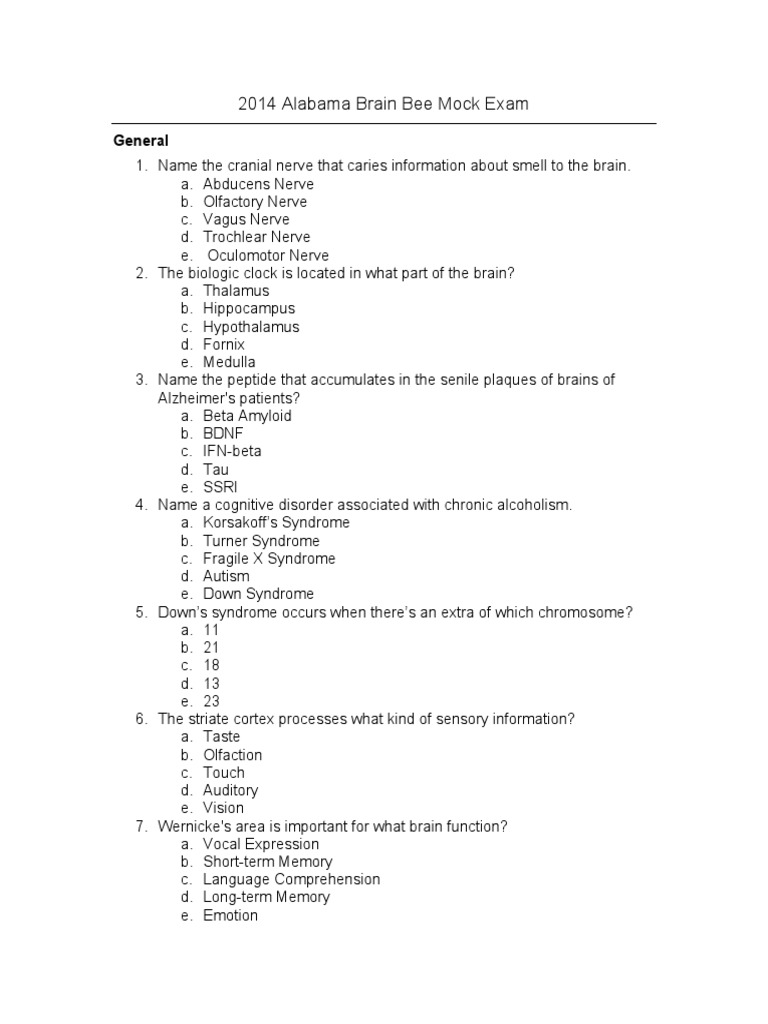 2014 Alabama Brain Bee Mock Test | PDF | Cerebral Cortex | Brain