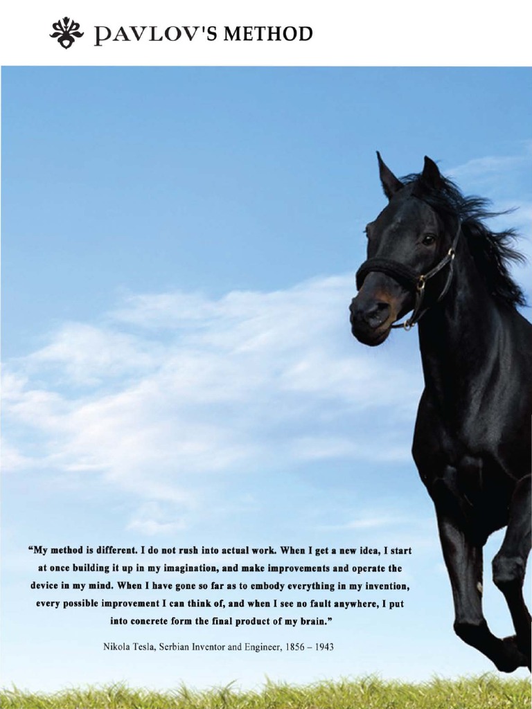 Pitch Pavlov | PDF | Ultrasound | Pain