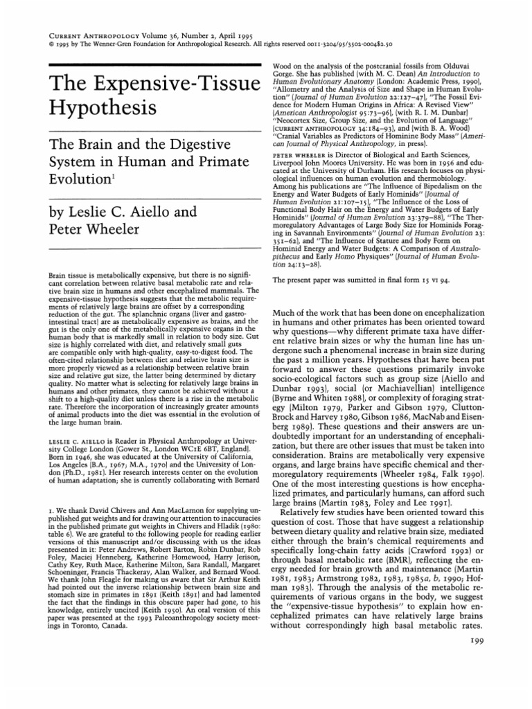 The Expensive-Tissue Hypothesis | PDF | Eating Behaviors Of Humans ...