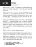 Menica | PDF