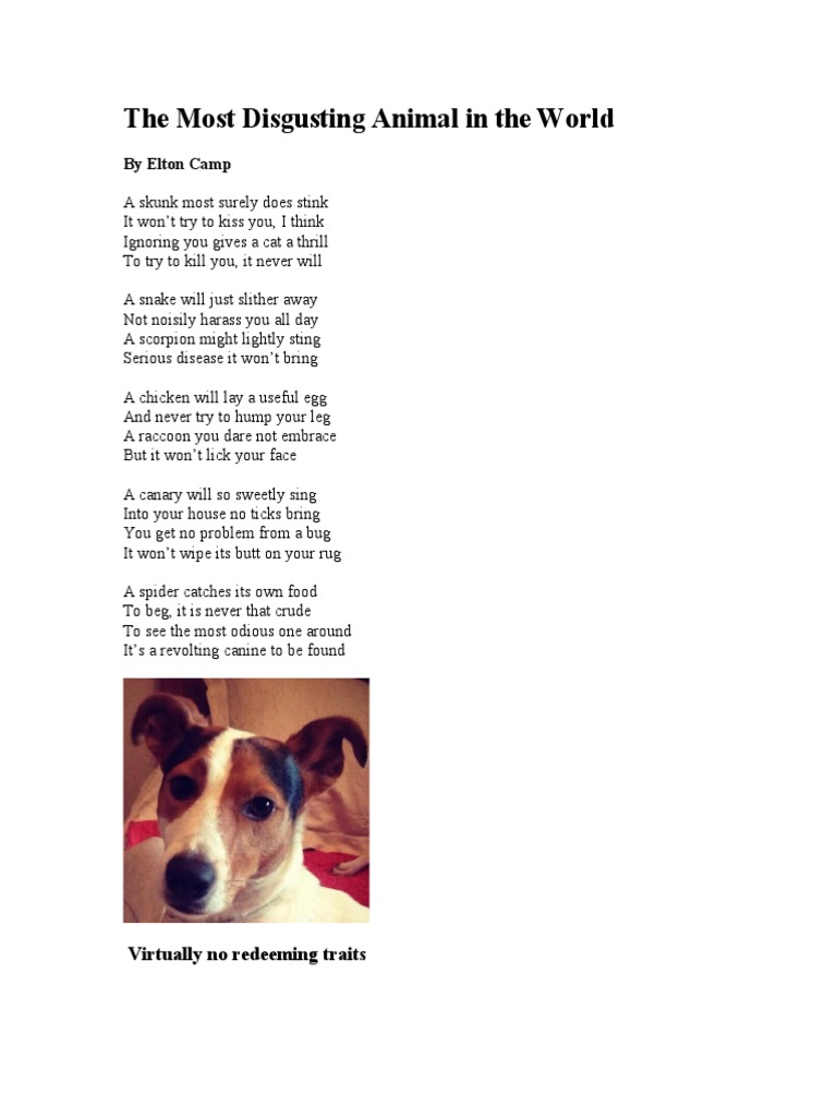 The Most Disgusting Animal in The World | PDF | Home & Garden | Art