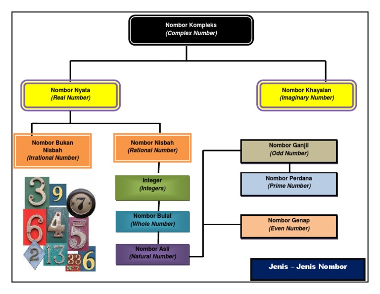Jenis-Jenis Nombor | PDF