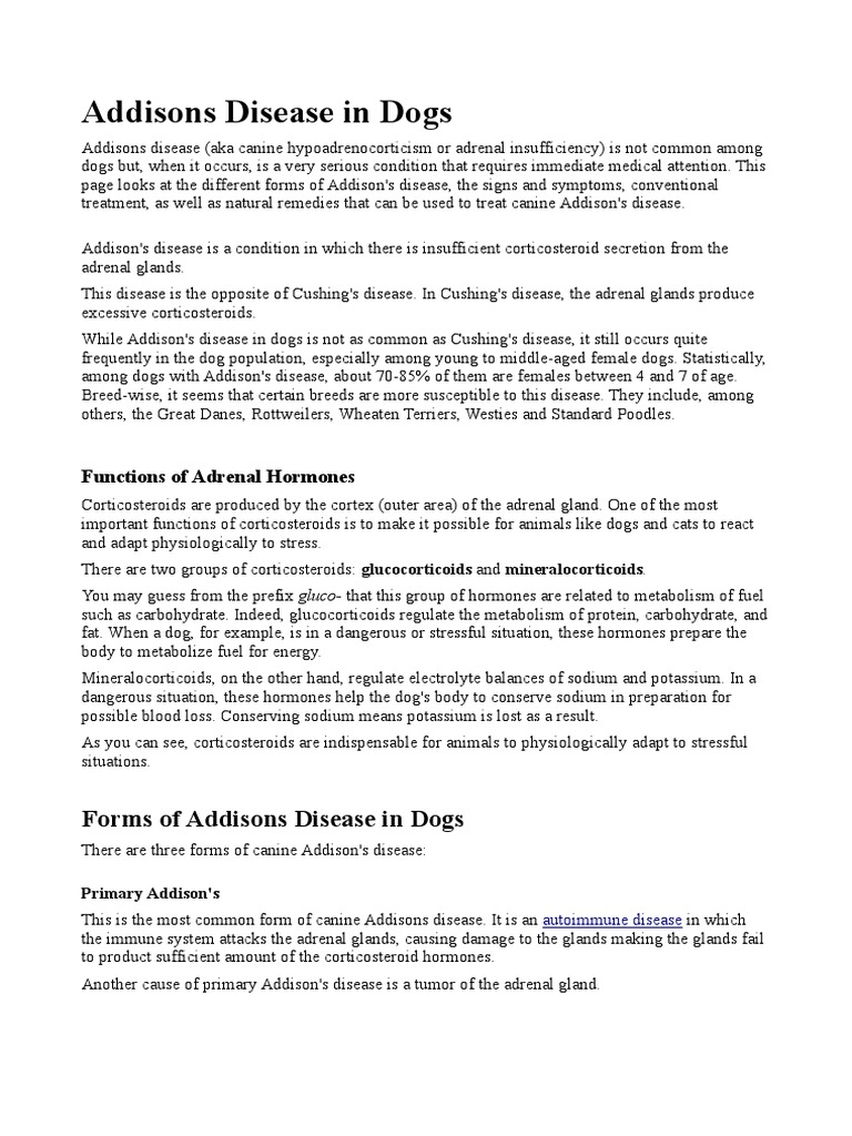 Addisons Disease in Dogs | Adrenal Gland | Diseases And Disorders