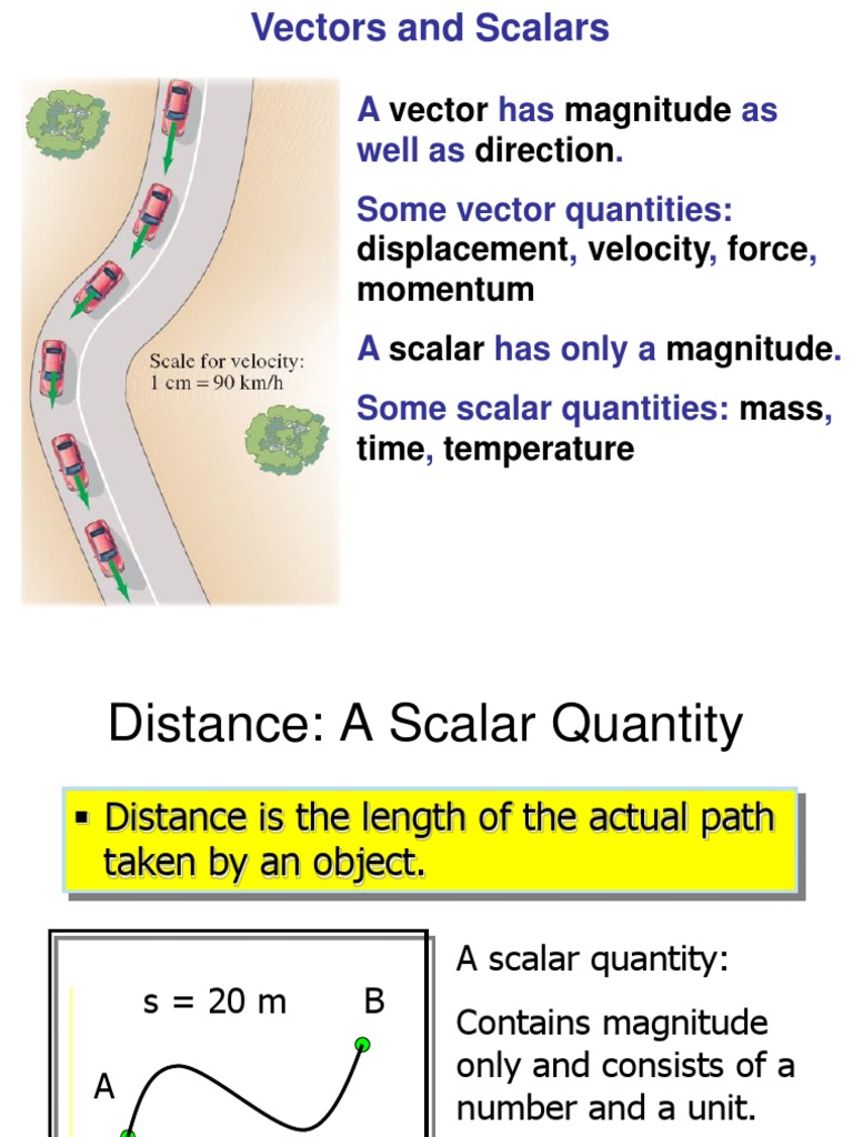 A Has As Well As - Some Vector Quantities | PDF | Euclidean Vector | Physics