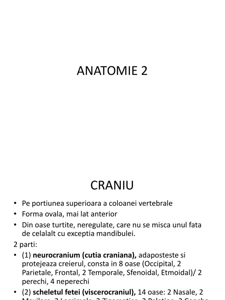 Craniu | PDF