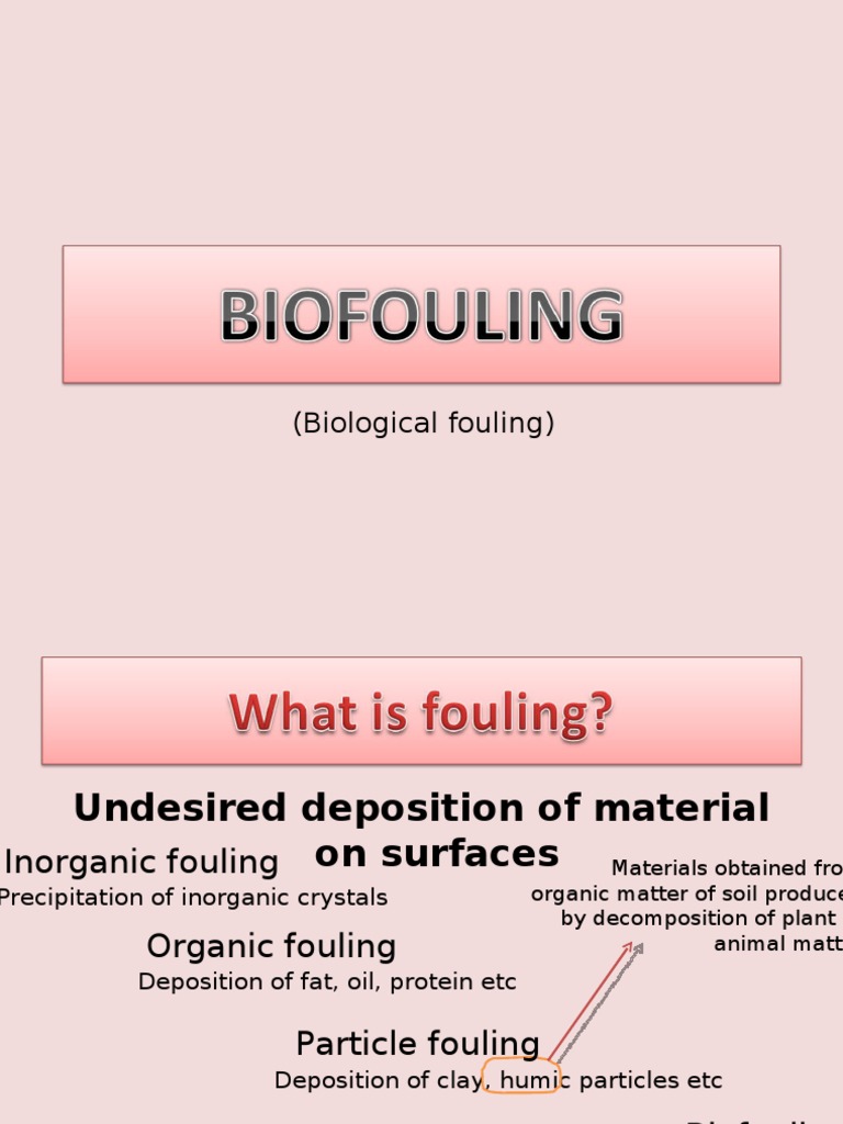 Bio Fouling | PDF | Biofilm | Chemistry