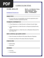 Daily Visit Report Summary | PDF