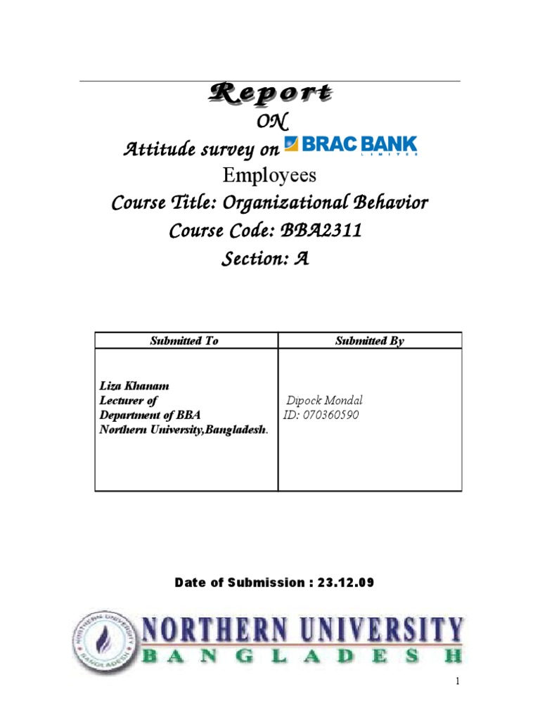 Attitude Survey On Employees | PDF | Likert Scale | Contentment