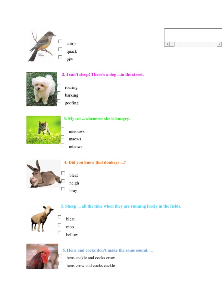 Animal Sounds Quiz for Kids | PDF