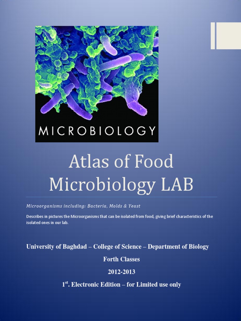 Atlas Food Microbiology | PDF | Bacillus | Gram Positive Bacteria