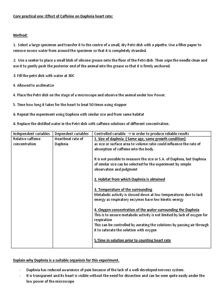 Core Practical 5 | PDF | Vitamin C | Experiment