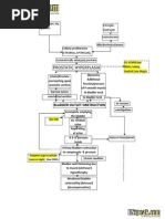 Pa Tho Physiology of Pyelonephritis | PDF | Self-Improvement | Wellness