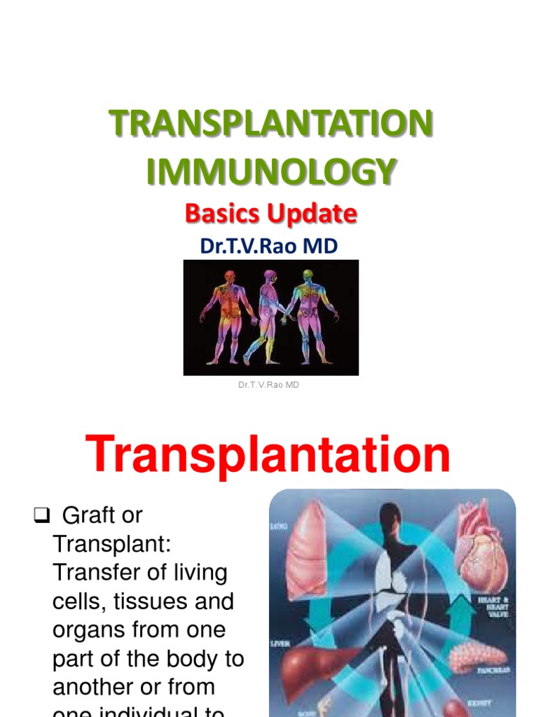 Immunology of Transplantation Basics | PDF | Transplant Rejection ...