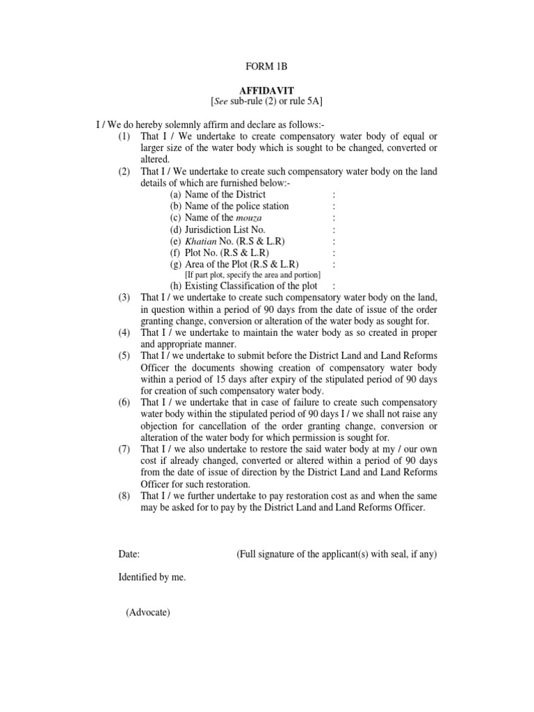 Affidavit For Conversion | PDF