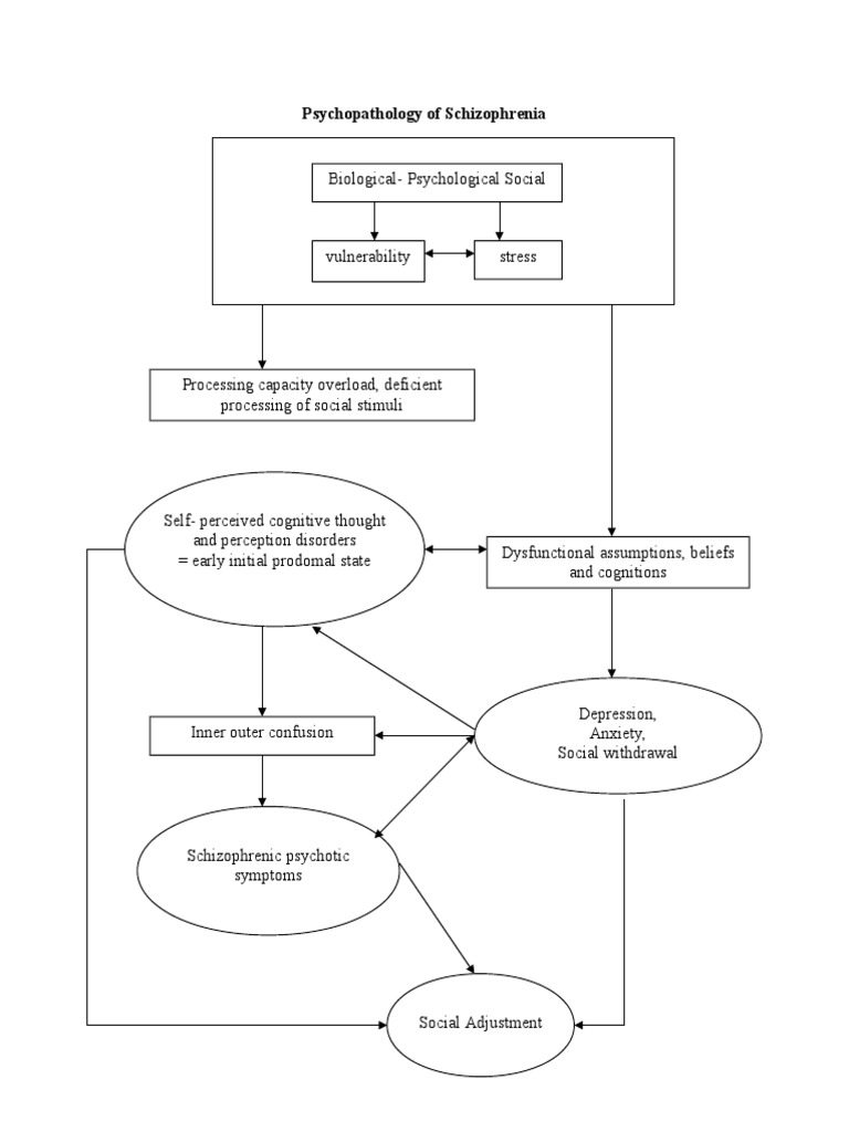 Psychopathology of Schizophrenia | PDF | Self-Improvement | Science ...