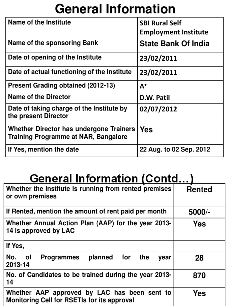 SBI RSETI Overview and Training Data | PDF | Business