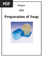soap making project for cbse class 12 | Soap | Chemical Polarity