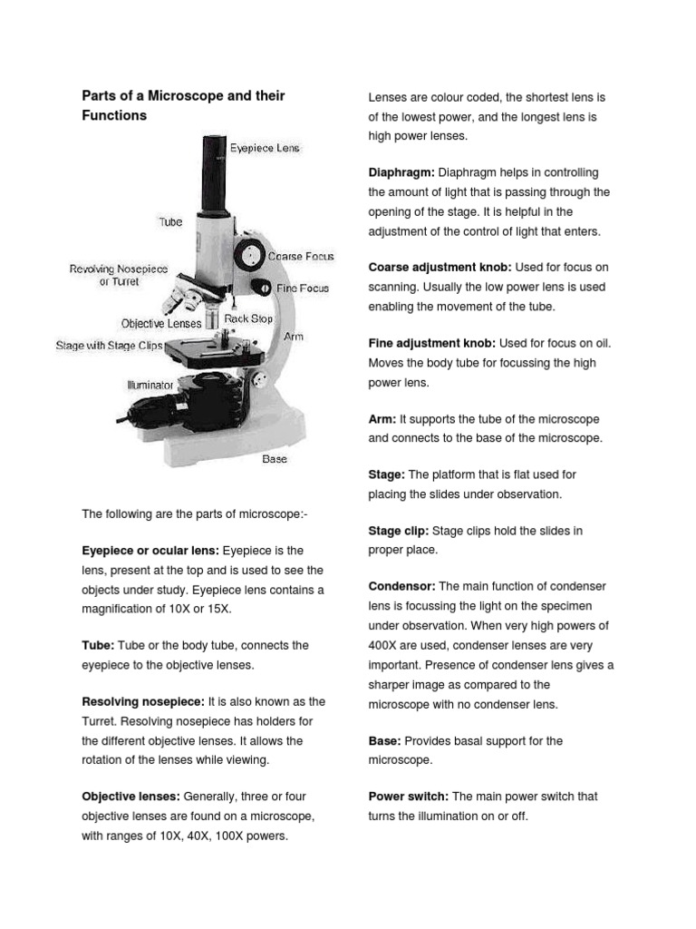 Parts of Microscope and Their Functions | PDF | Lens (Optics) | Glass ...