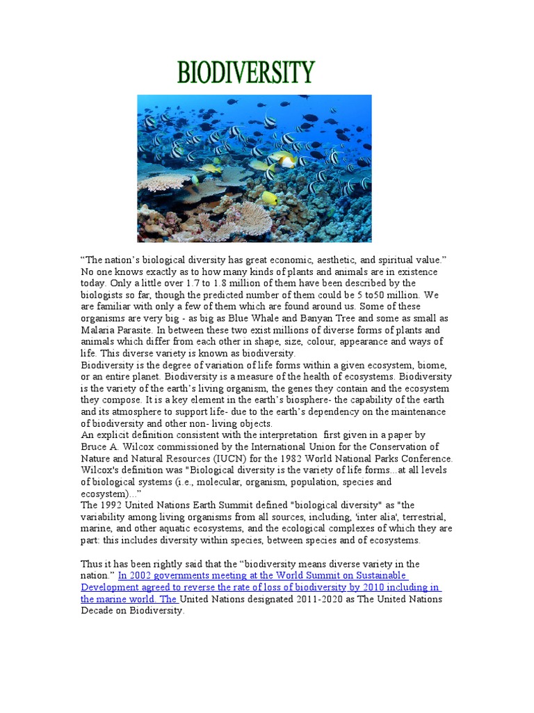Biodiversity Essay | Download Free PDF | Biodiversity | Introduced Species