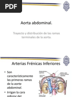 Irrigación e Inervación del Colon | PDF | Intestino grueso | Recto