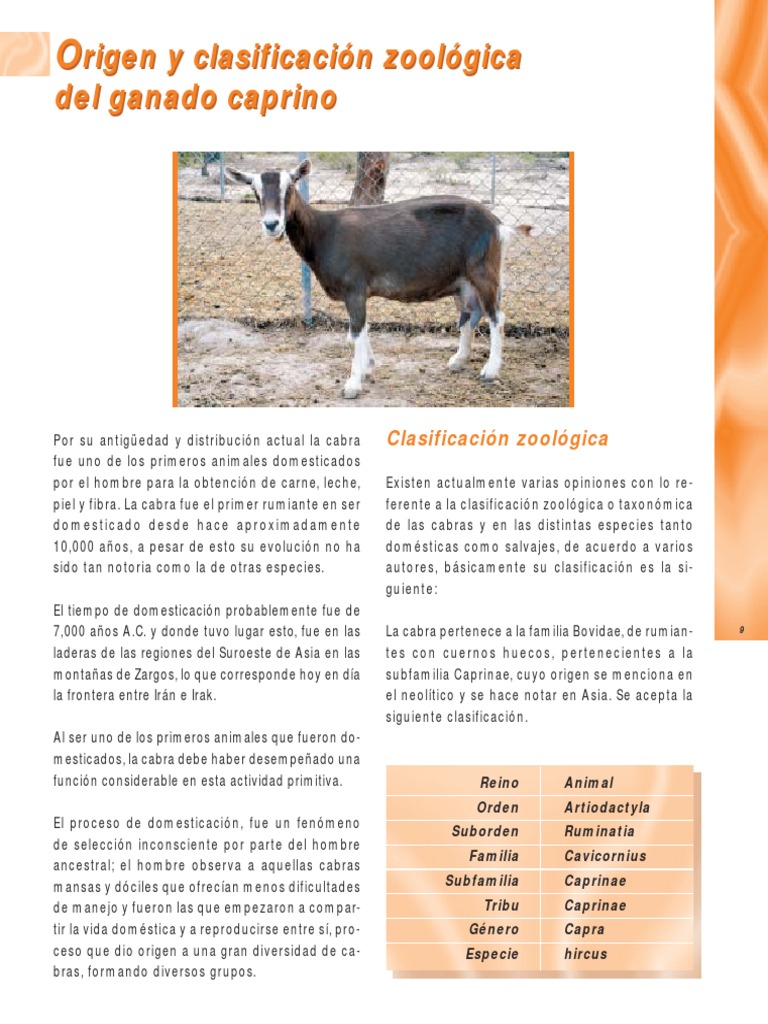 Manual1 Desbloqueado | PDF | Cabra | Domesticación