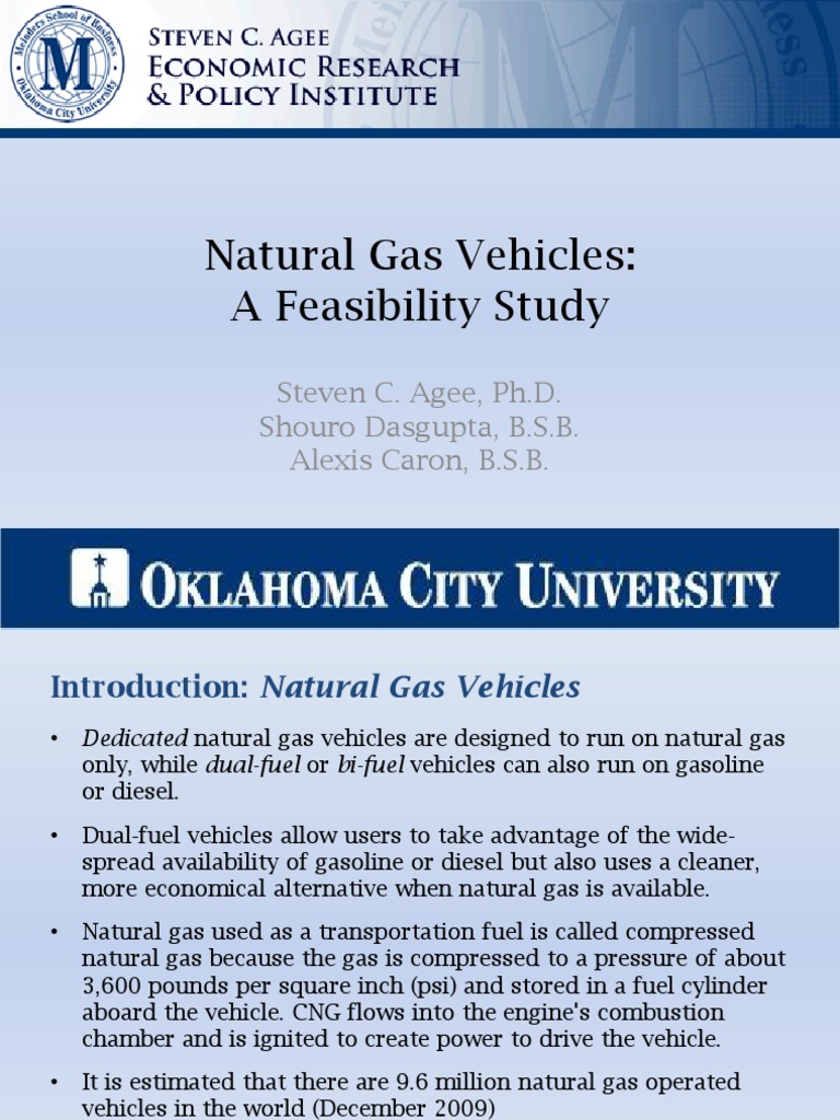 Natural Gas Study | PDF | Gasoline | Natural Gas