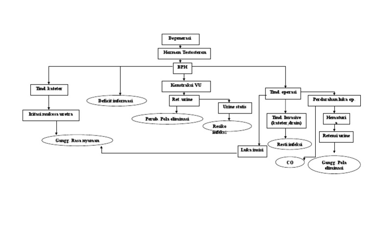 Pathway Benigna Prostat Hipertropi P ('t':3) Var B Location Settimeout ...