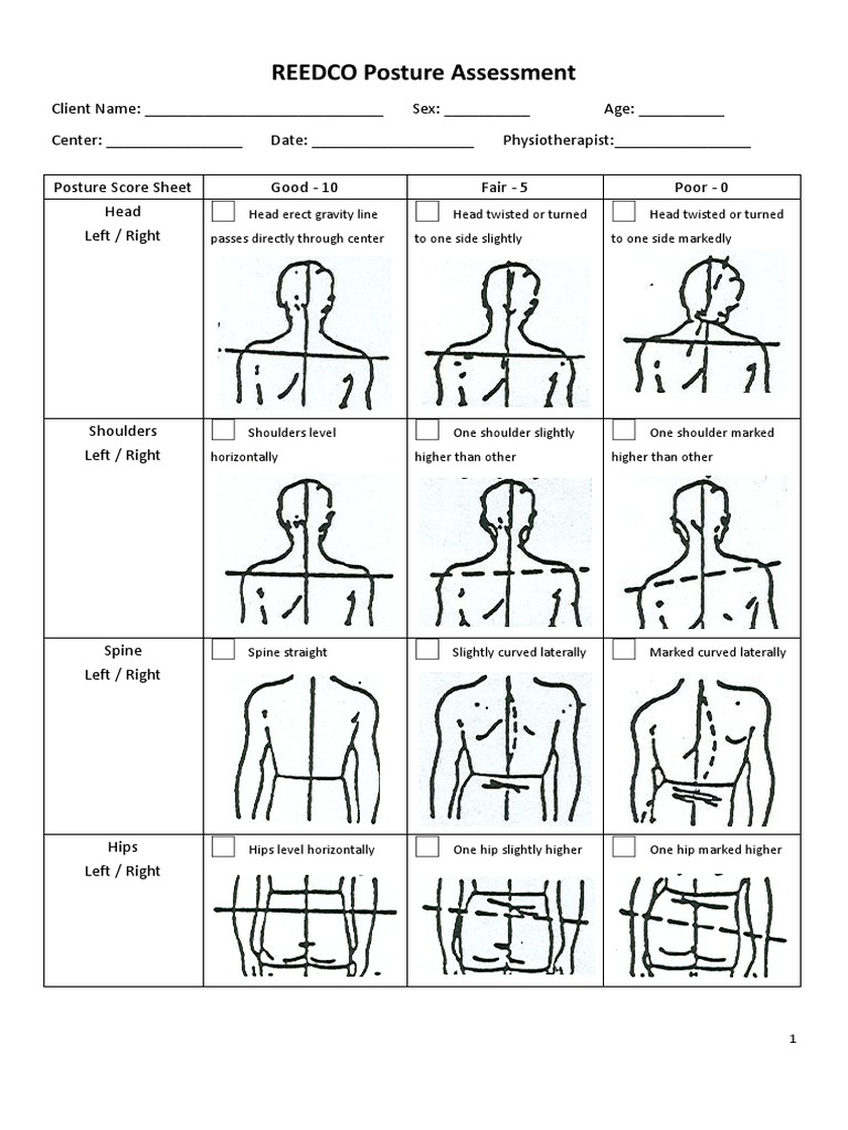 REEDCO Posture Assessment | PDF